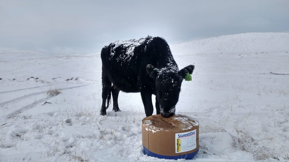 FiberMate™ 20 - SweetPro