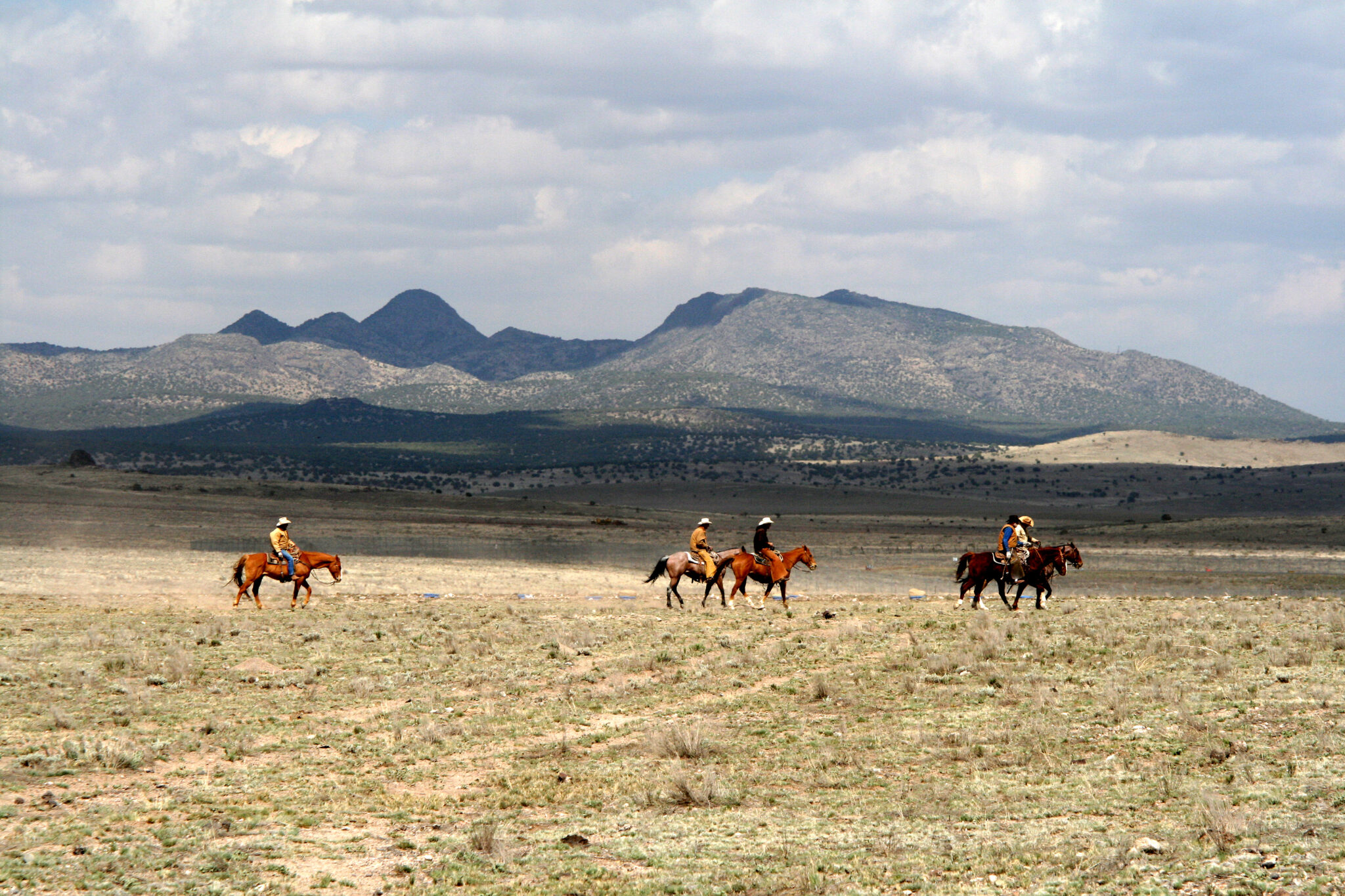 EquiLix® MAXX - SweetPro