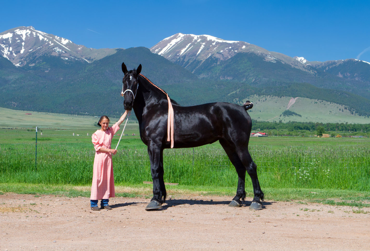 EquiLix Performance - SweetPro