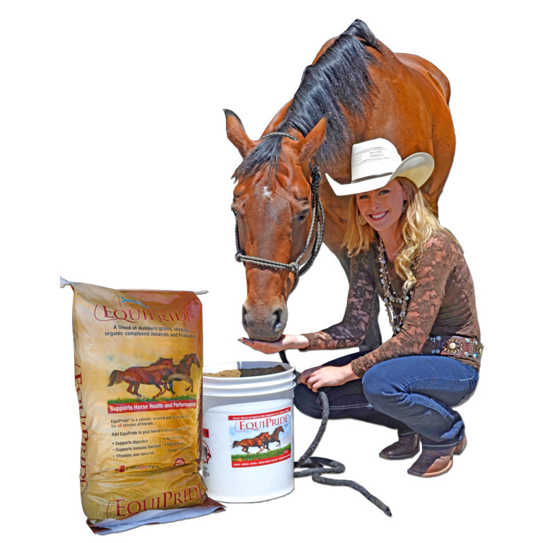 EquiPride - SweetPro