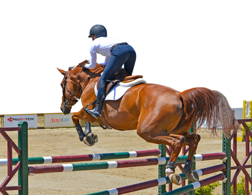 English Performance - SweetPro