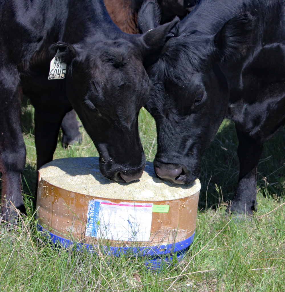 SweetPro® Stage of Growth, Condition of Forage Program - How it Works ...