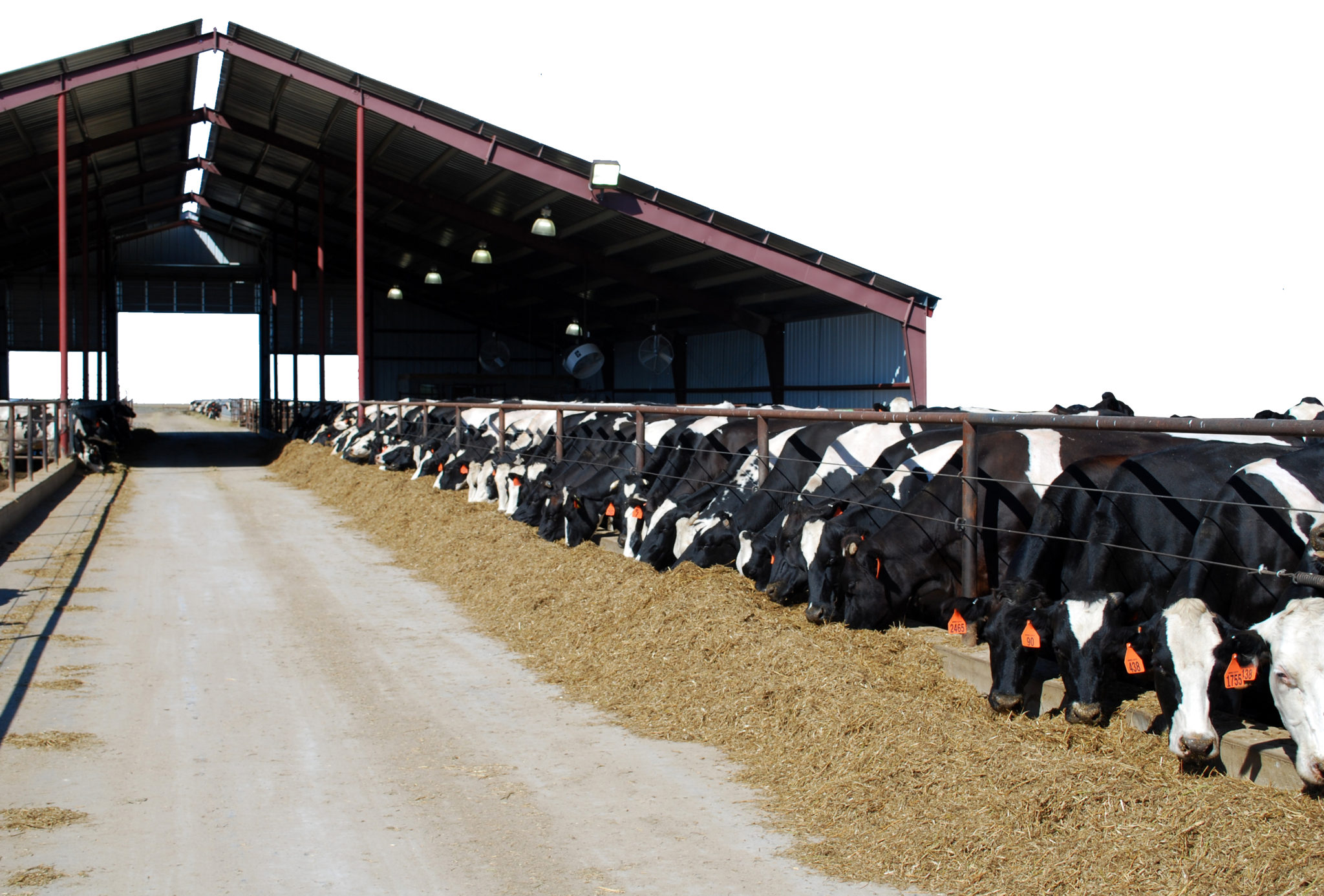 Fresh Start - SweetPro