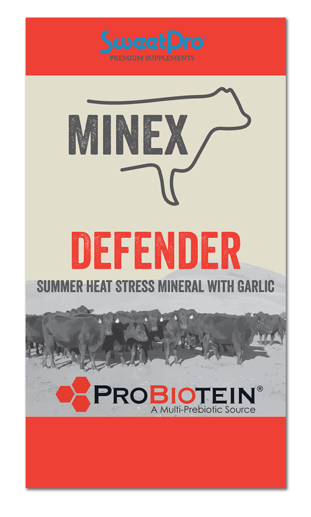 MINEX Loose Mineral - SweetPro