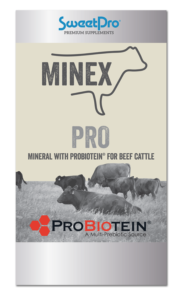 MINEX PRO - SweetPro