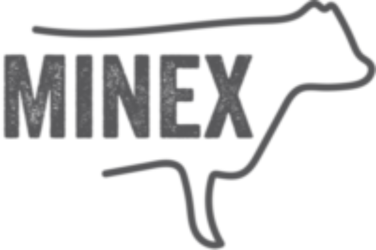 MINEX PRO - SweetPro