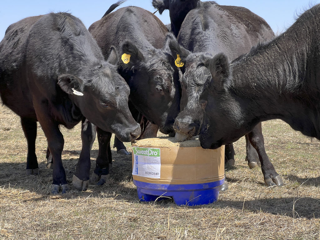 SweetPro 16® - SweetPro