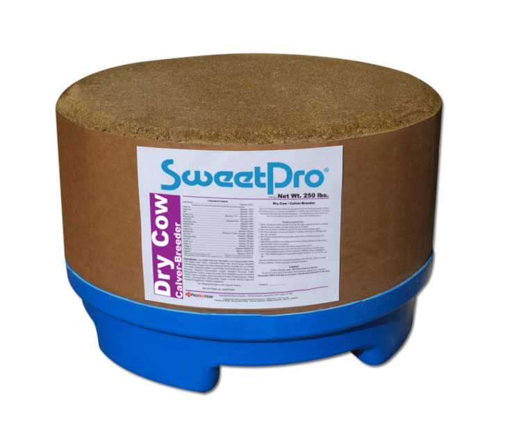 Dry Cow Calver-Breeder - SweetPro